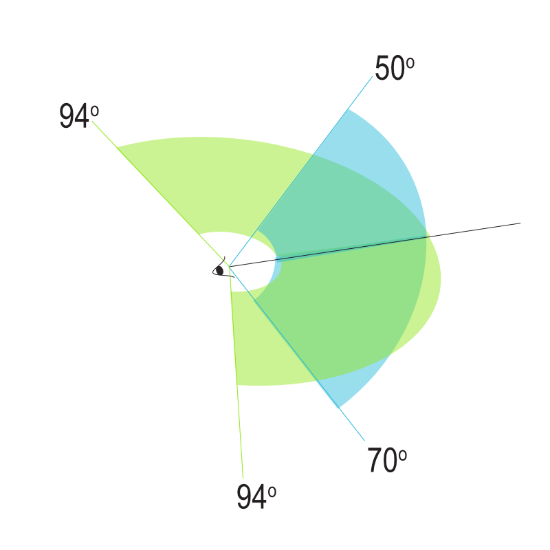 A Technical Review of Stellest Lens, the Essilor myopia control lens ...