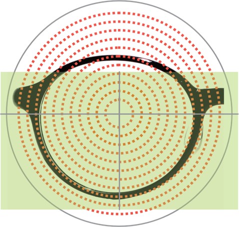 Myofit Eyewear - Fit for Myopia Control